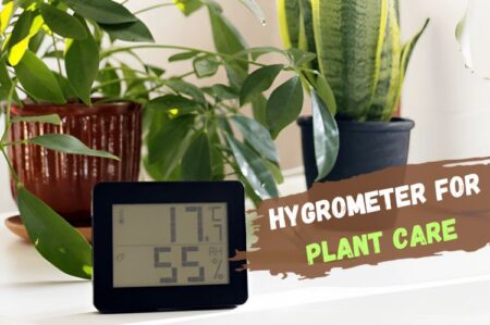 Lush Gardens: Boost Plant Humidity for Your Plants