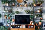 Best Plants to Place Around Your TV for a Relaxing Living Room