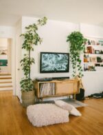 Best Plants to Place Around Your TV for a Relaxing Living Room