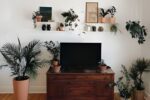 Best Plants to Place Around Your TV for a Relaxing Living Room